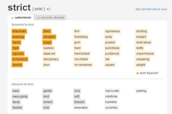 The Importance of Accuracy [IELTS Vocabulary] - TED IELTS