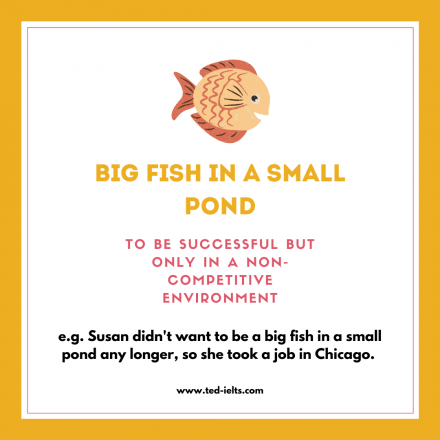 150 Idioms for IELTS [Free Download] - TED IELTS