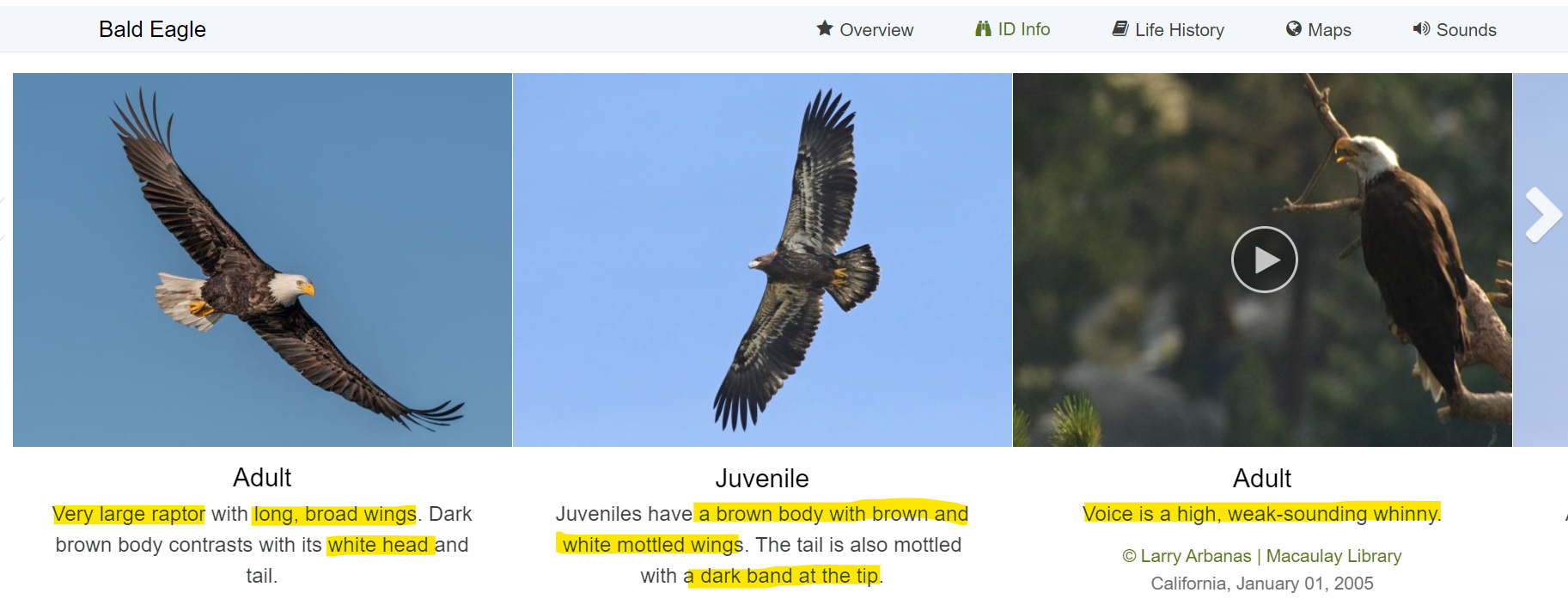 eagle-vocabulary - TED IELTS