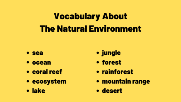 Vocabulary about the Environment - TED IELTS