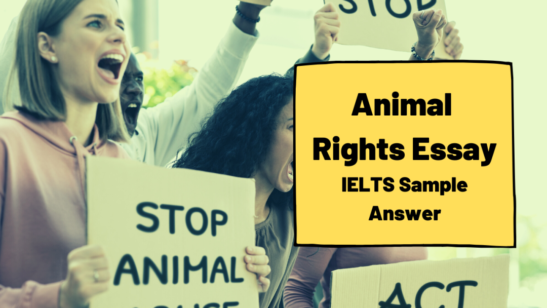 Animal Rights Essay IELTS Sample Answer - TED IELTS