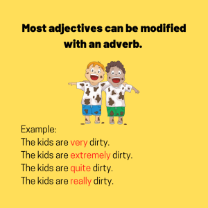 Understanding Non-gradable Adjectives in English - TED IELTS