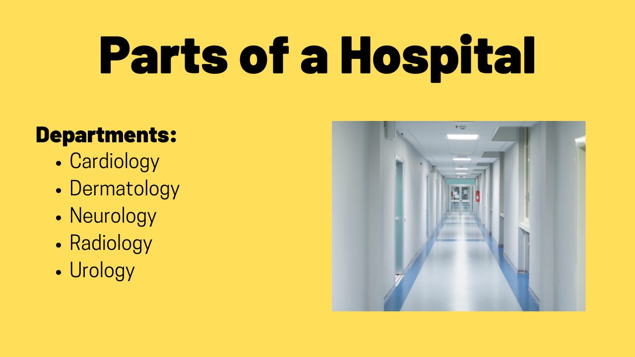 Hospital Vocabulary - TED IELTS